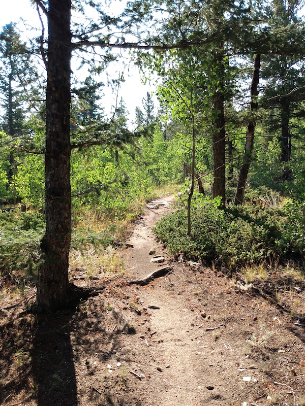 Meadow Loop Trail (1006) Mountain Biking Trail - Estes Park