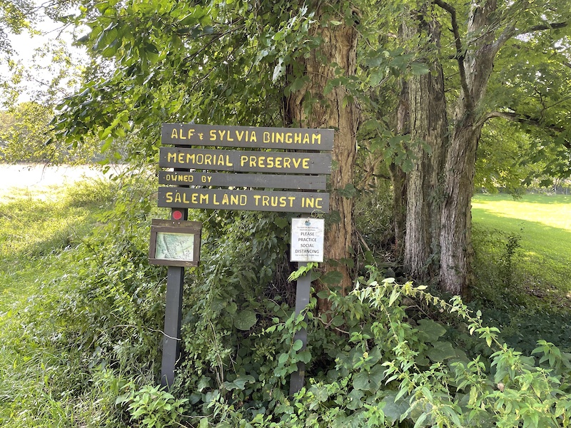 Sylvia's Trail Hiking Trail - Salem, Connecticut