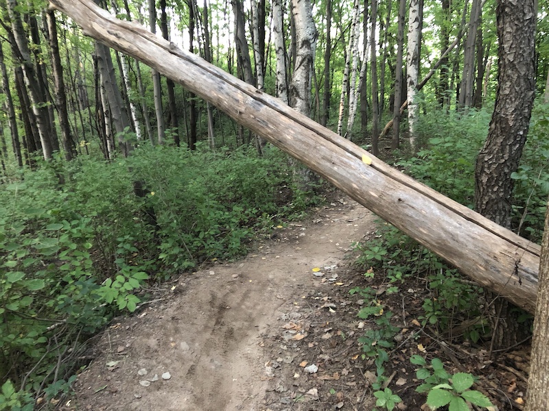Lone Lake Long Loop Multi Trail - Minnetonka, Minnesota