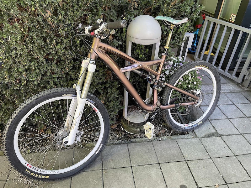2010 Specialized Enduro Custom Build For Sale