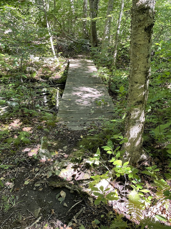 Uncas Pond Connector Hiking Trail - Lyme, Connecticut
