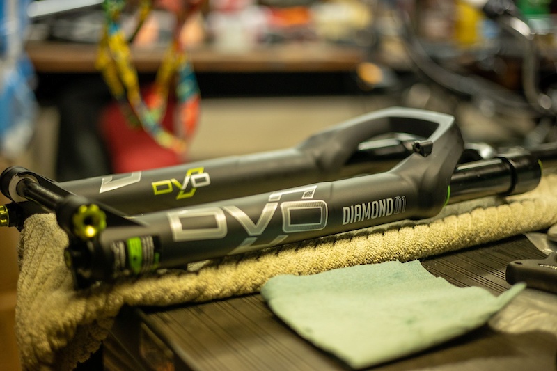 2021 DVO Diamond D1 For Sale