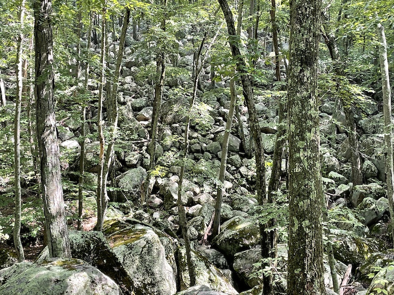 Boulder Train Route Hiking Route | Trailforks