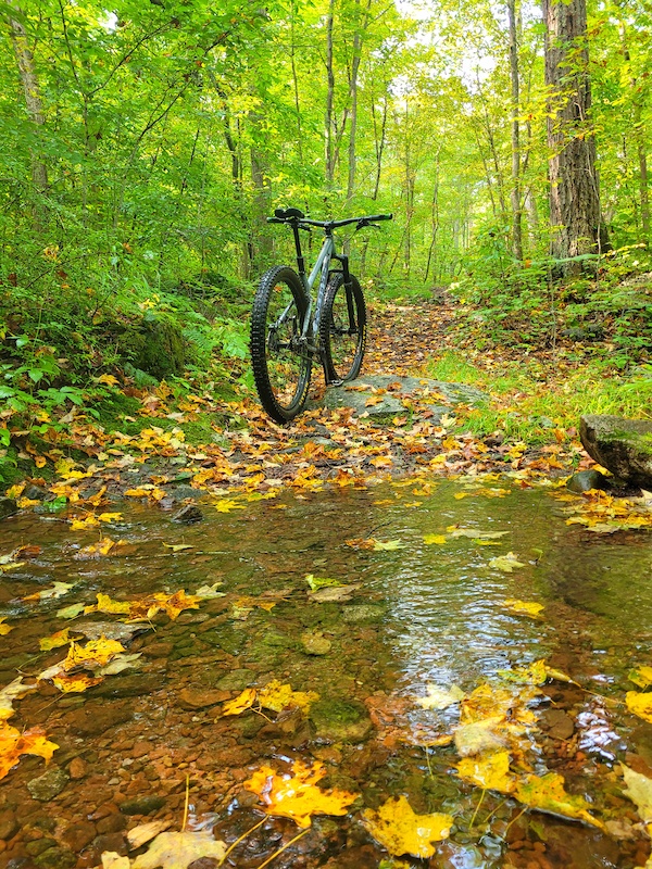 Stokes State Forest (BLUE MOUNTAIN LOOP) Mountain Biking Route | Trailforks