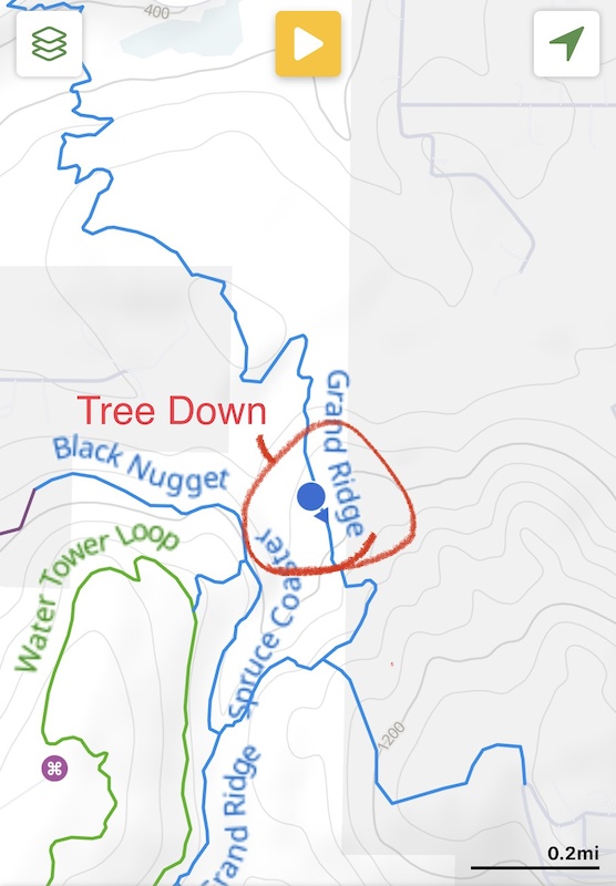 Grand Ridge Mountain Biking Trail - Issaquah, Washington