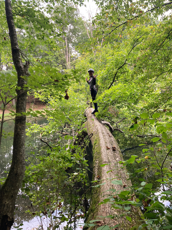 Chenango Lake Trail (West Side) Multi Trail - Chenango Forks