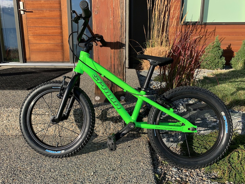 Spawn Yogi 16" For Sale