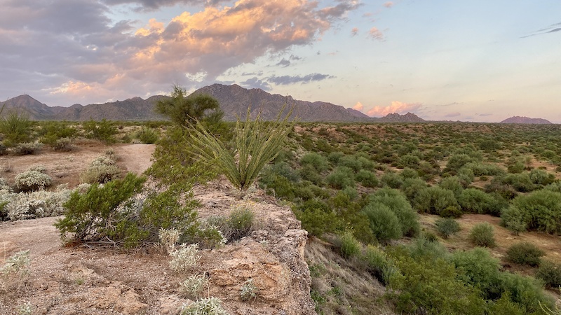 2024 BWR AZ Waffle Gravel Biking Route | Trailforks