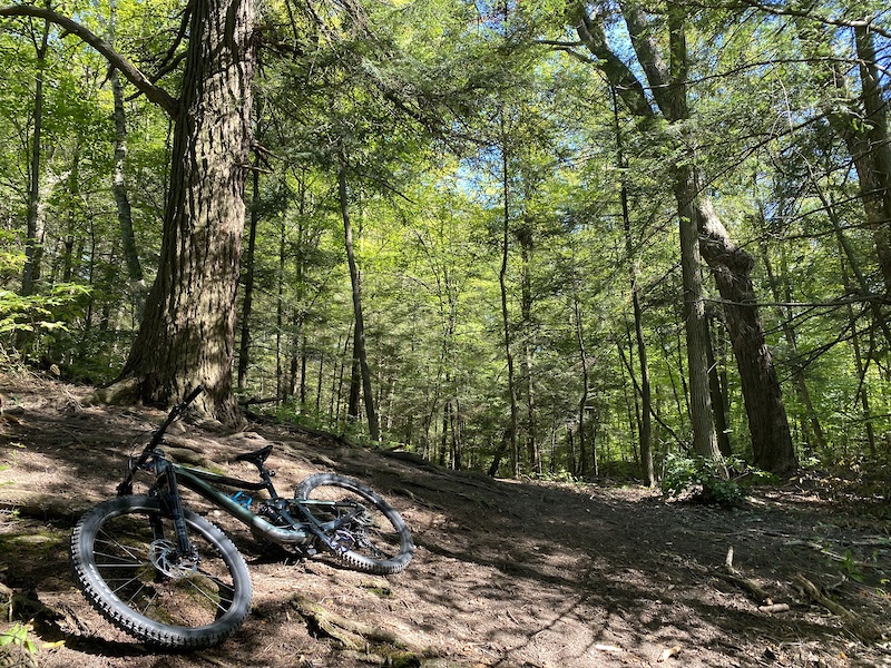 Boyd Conservation Park, Vaughan Mountain Biking Trails | Trailforks