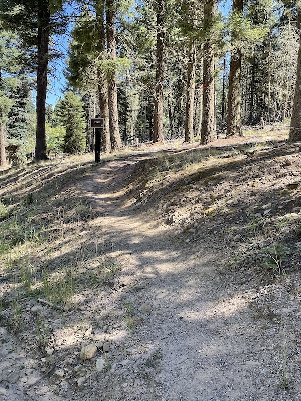 Lynx 2 Mountain Biking Trail - Angel Fire, New Mexico