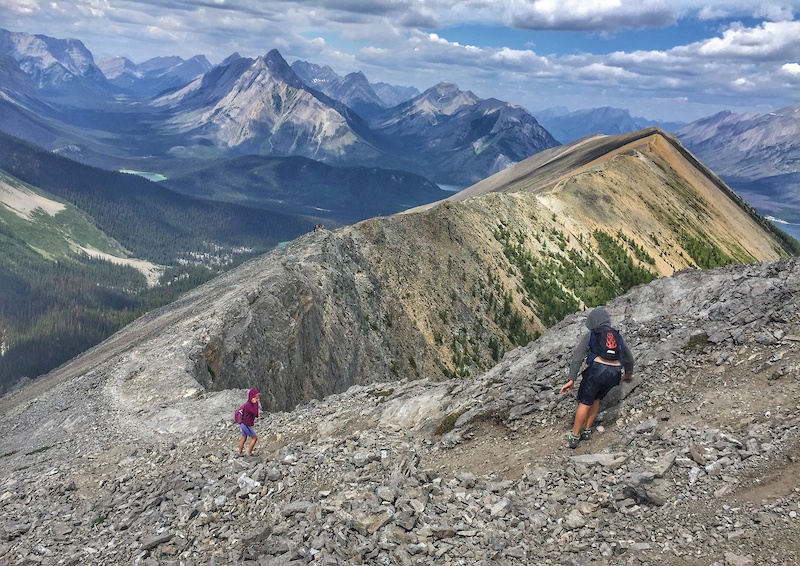 Tent Ridge Hiking Trail - Canmore, Alberta | Trailforks