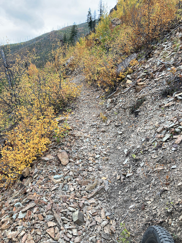 Demers Ridge Trail Hiking Trail - Columbia Falls, MT
