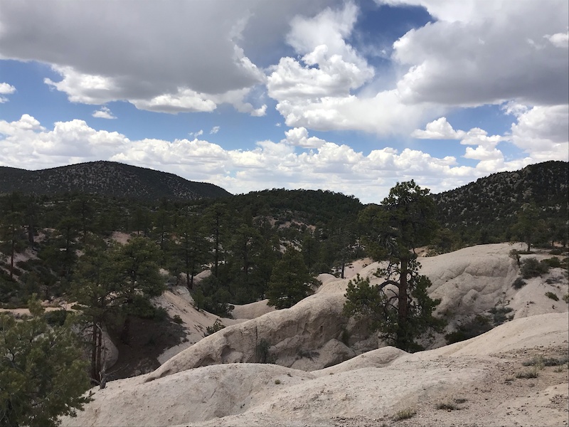 Ella Mountain Trail Mountain Biking Trail - Caliente