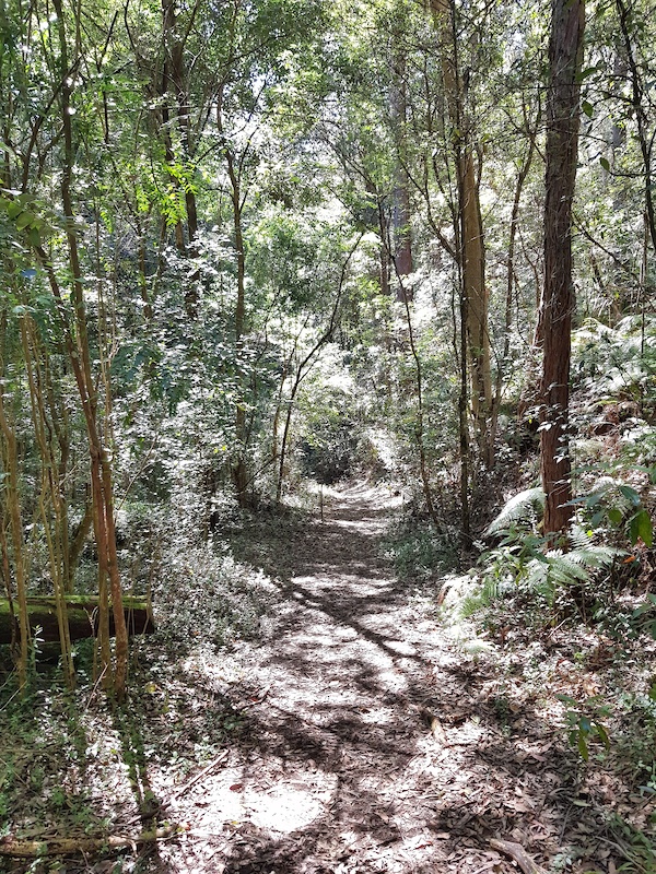 To the Nasho Mountain Biking Trail - Hornsby