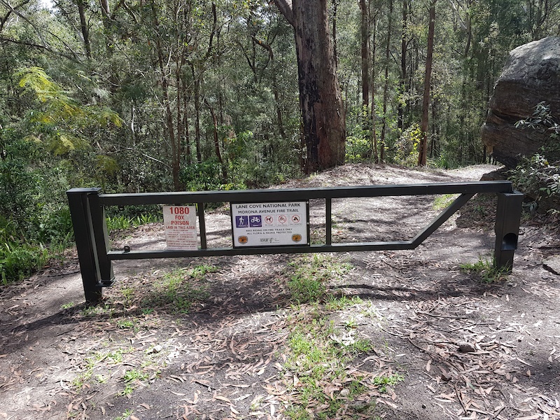 Morona Trail Mountain Biking Trail - Hornsby