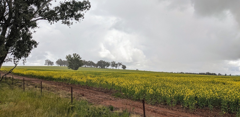 Gilgai Trail Mountain Biking Trail - Coolamon