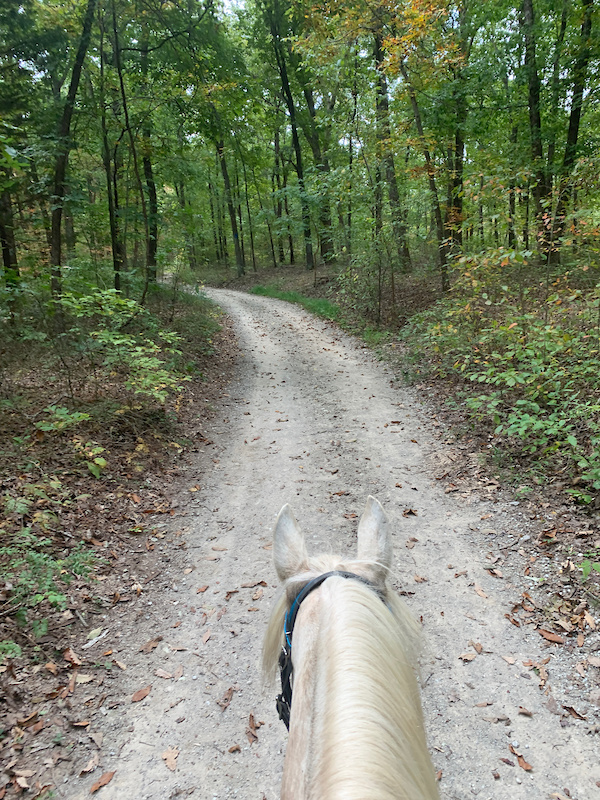 Collie Ridge Trail Hiking Trail - Brownsville, Kentucky