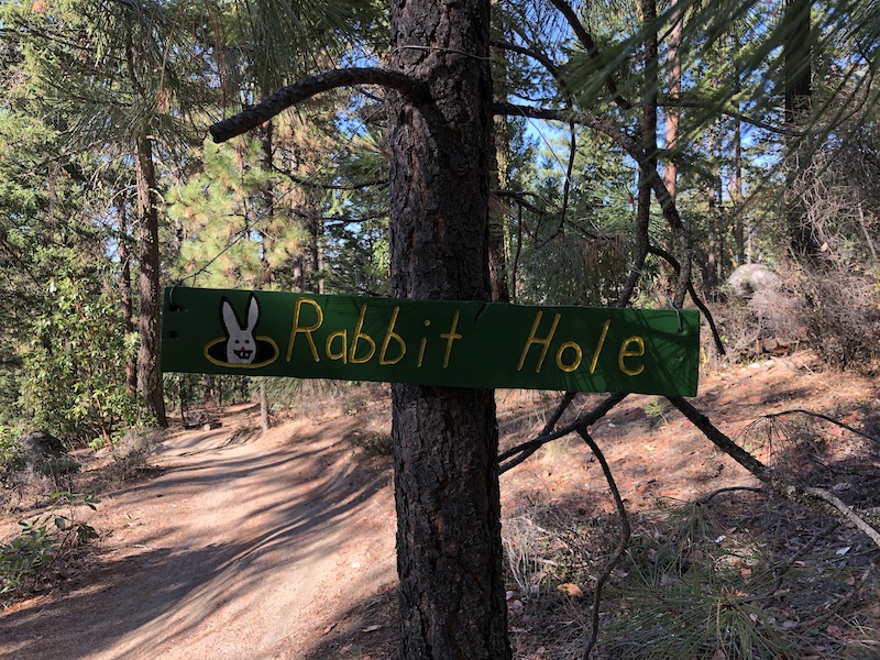 Rabbit Hole Mountain Biking Trail - Ashland, Oregon