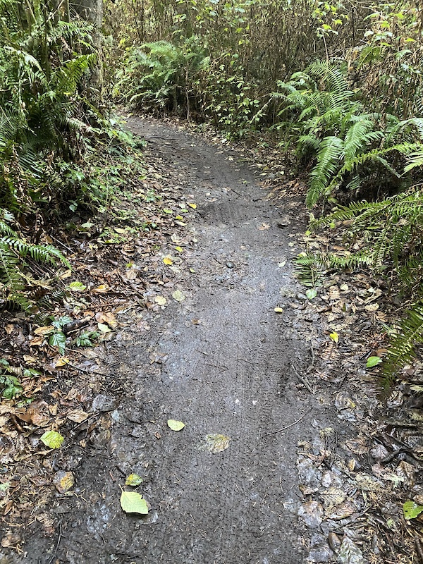 Perimeter Loop Mountain Biking Trail - Kenmore, WA