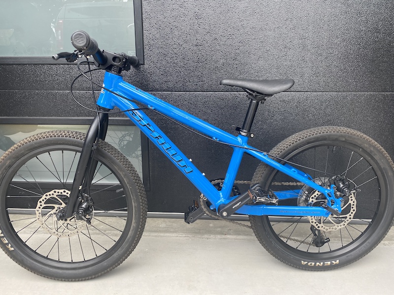 2020 Spawn Raiju 20” kids mtn bike blue For Sale