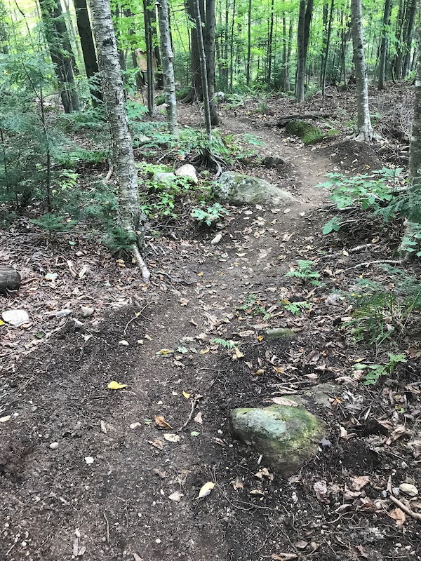 Magog, Quebec Mountain Biking Trails | Trailforks