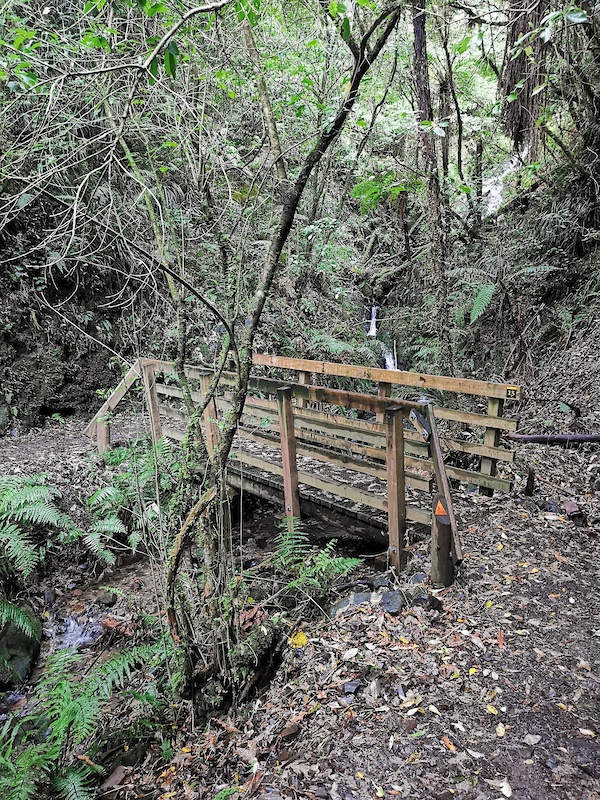 Pakihi Track Mountain Biking Trail - Opotiki