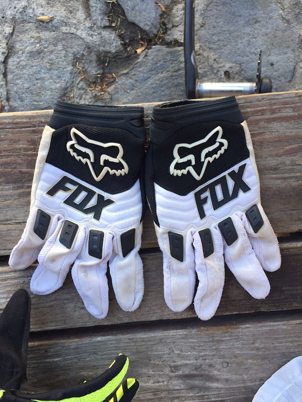 Pair of Fox Gloves For Sale