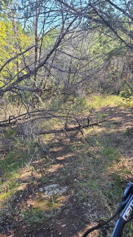 BLORA Intermediate Mountain Biking Trail - Killeen, Texas