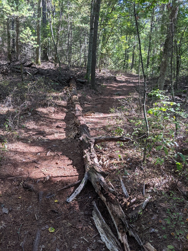 Connector Multi Trail - Walpole, Massachusetts