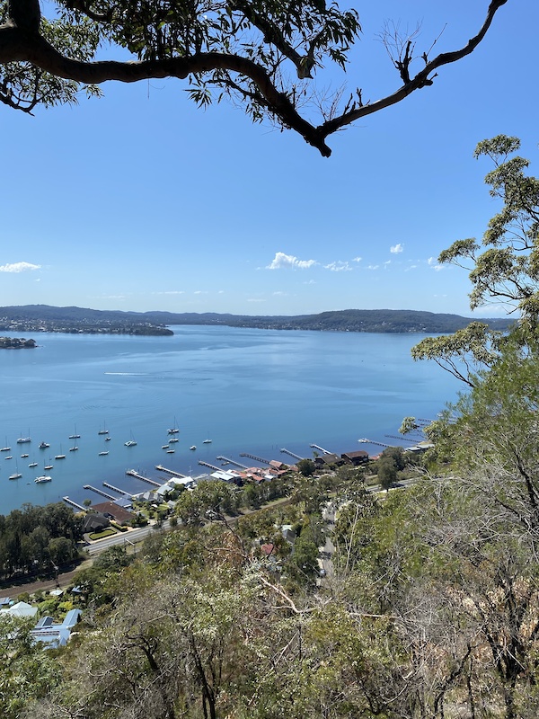 Woy Woy Rd to Rail Bridge Mountain Biking Trail - Woy Woy