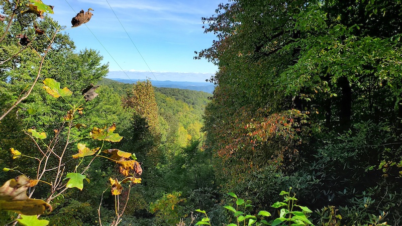 Big Lost Cove Cliffs Trail Hiking Trail - Morganton