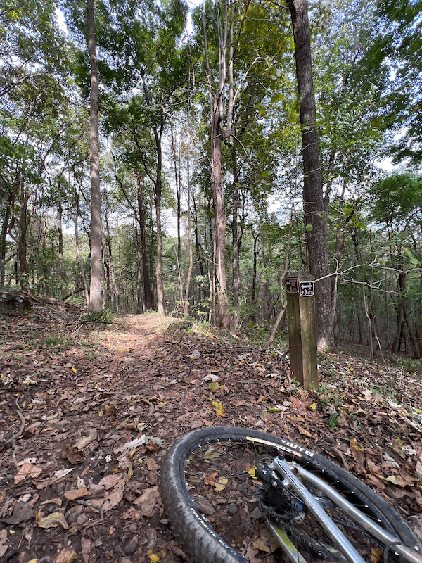 HAMR Fallfest 2025 Saturday Morning Ride Mountain Biking Route | Trailforks