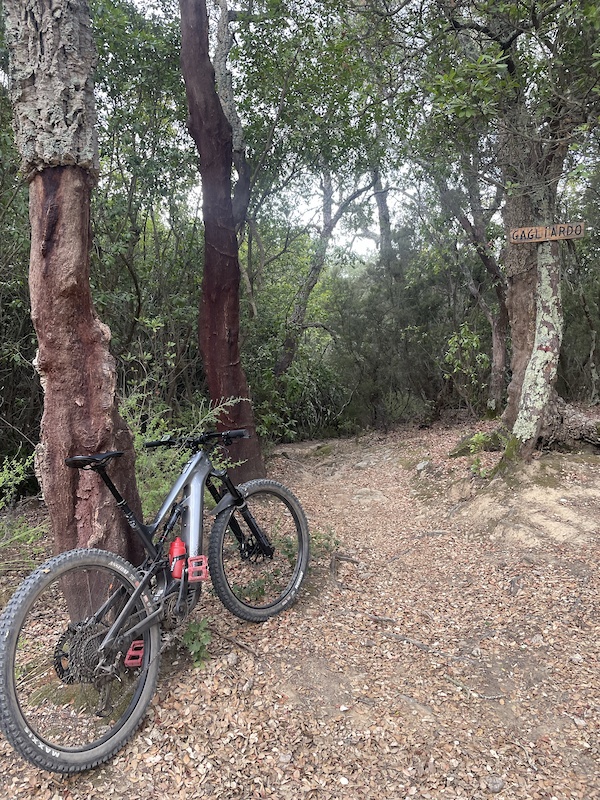 XC Tour Mountain Biking Route | Trailforks