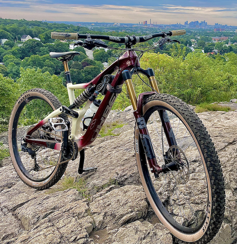 2020 Orbea Rallon M-LTD - Custom Paint For Sale