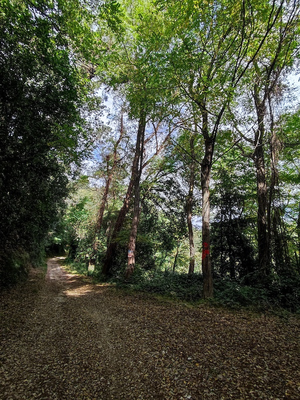 Tuscany Trail 2019 Mountain Biking Route | Trailforks