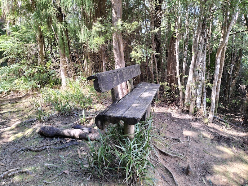 Otaika Valley Walkway Hiking Trail - | Trailforks