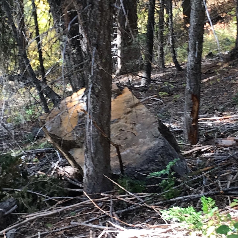 Oct 21, 2021 Twisp River Trail Trail Report | Trailforks