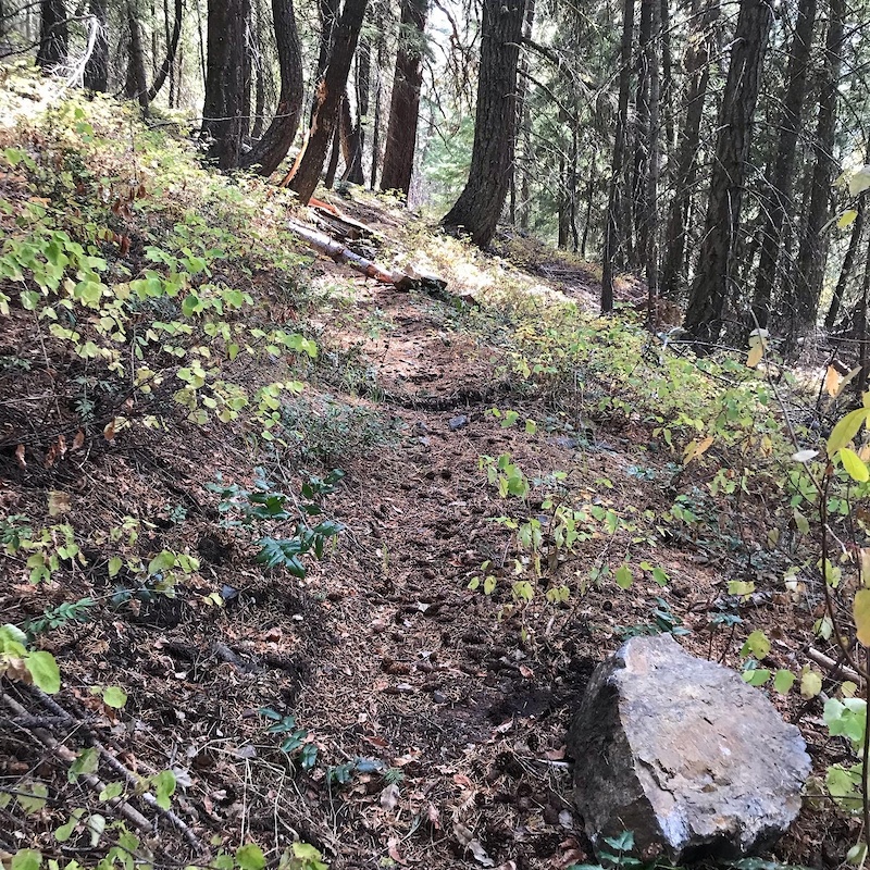 Oct 21, 2021 Twisp River Trail Trail Report | Trailforks