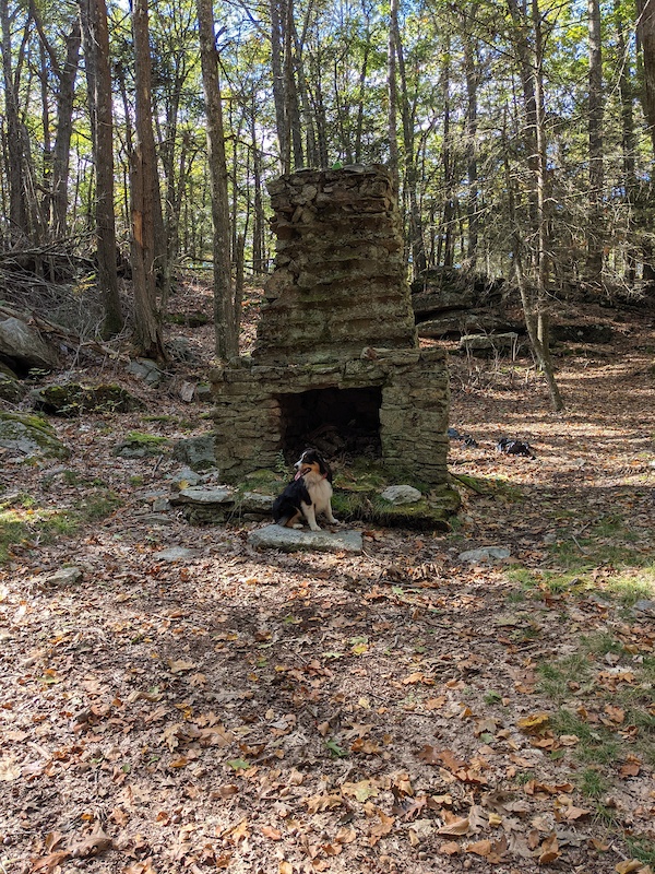 Gray/White Blaze Hiking Trail - Glastonbury, Connecticut