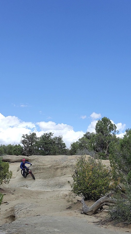 2025 Alien Run MTB Race Beginner Route Mountain Biking Route | Trailforks