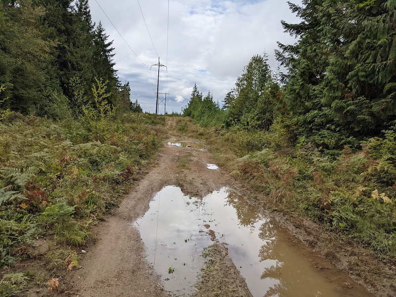 Power Line Mountain Biking Trail - Sechelt, BC