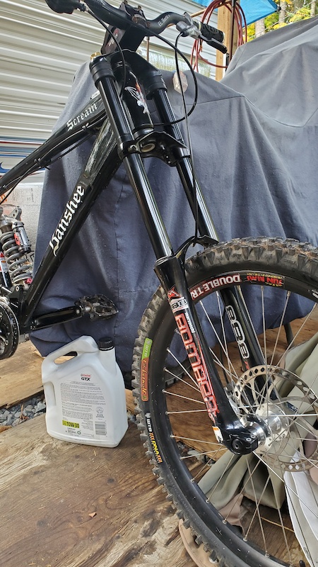 2008 Banshee Scream size Large For Sale