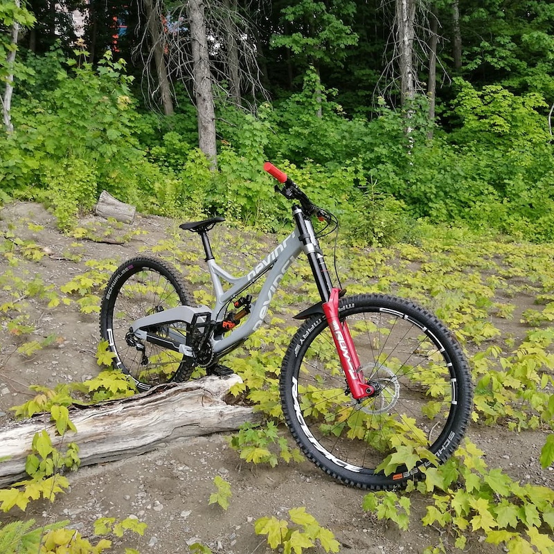 2021 (Trade) devinci Wilson looking for an Enduro For Sale
