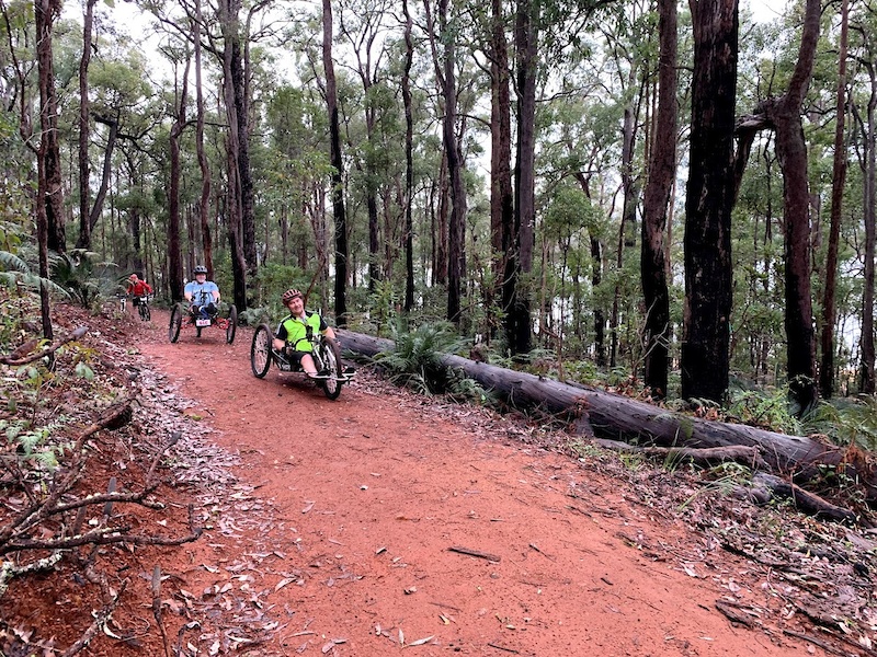 Wellington National Park, Collie Mountain Biking Trails | Trailforks