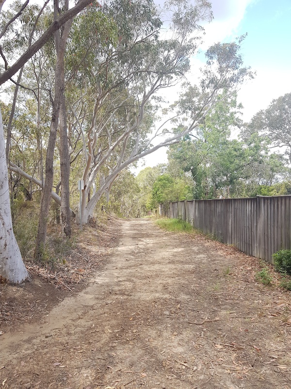 Trevors Ln Trail Mountain Biking Trail - Hornsby