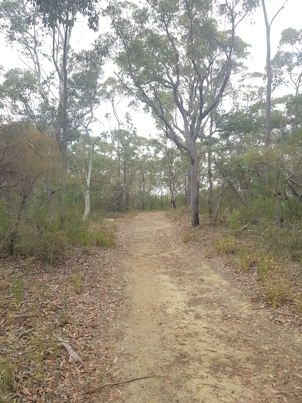 Refuge Rock Trail Mountain Biking Trail - Hornsby