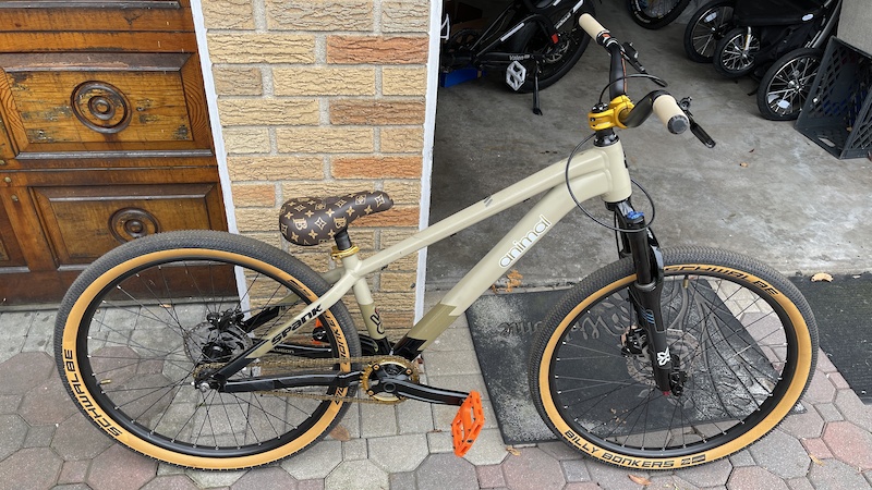 2021 Polygon Trid with Louie looks For Sale