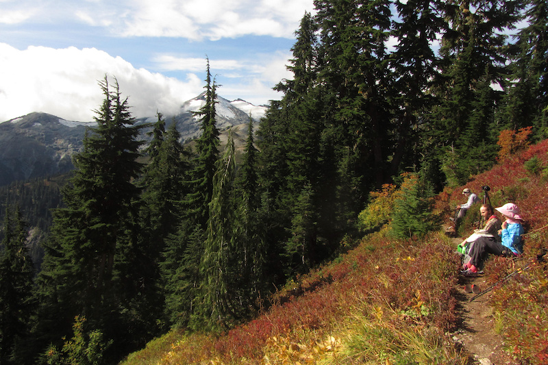 Copper Ridge Trail Hiking Trail - Glacier, Washington