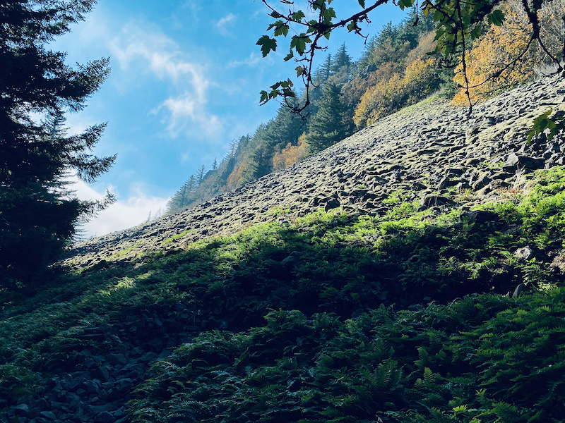 Cape Horn Loop Hiking Route | Trailforks