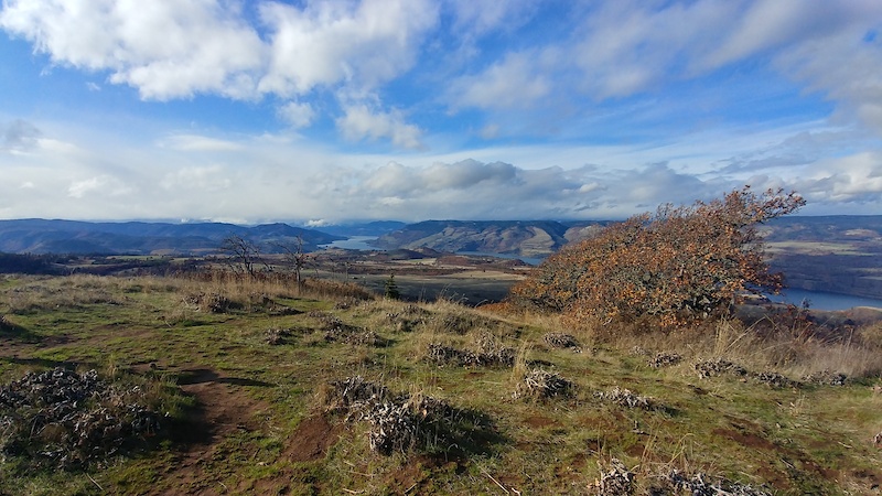 Tom McCall Point Trail Hiking Trail - The Dalles, Oregon